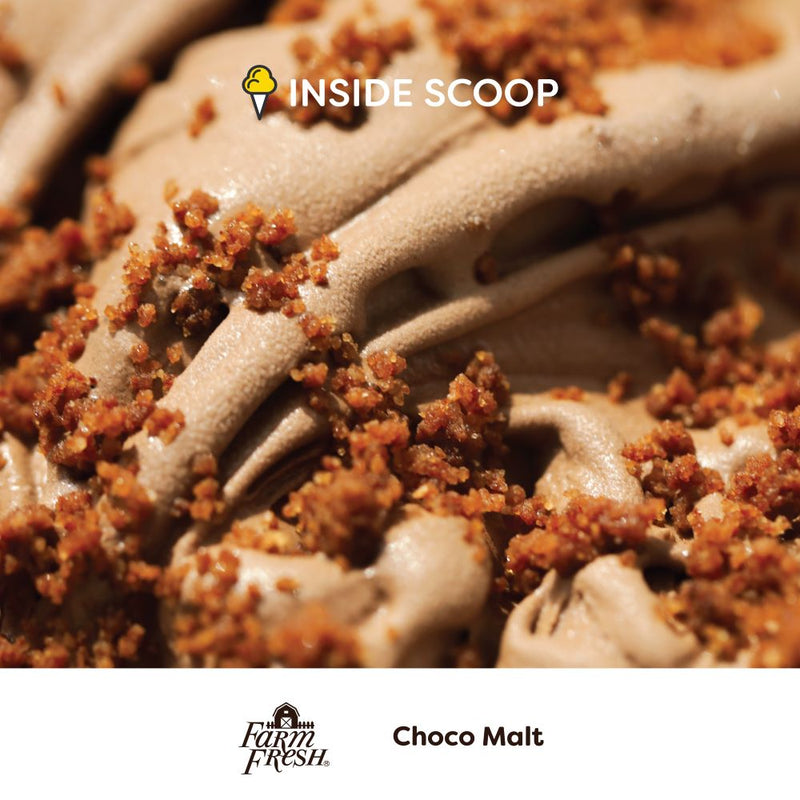 Choco Malt (473ml)